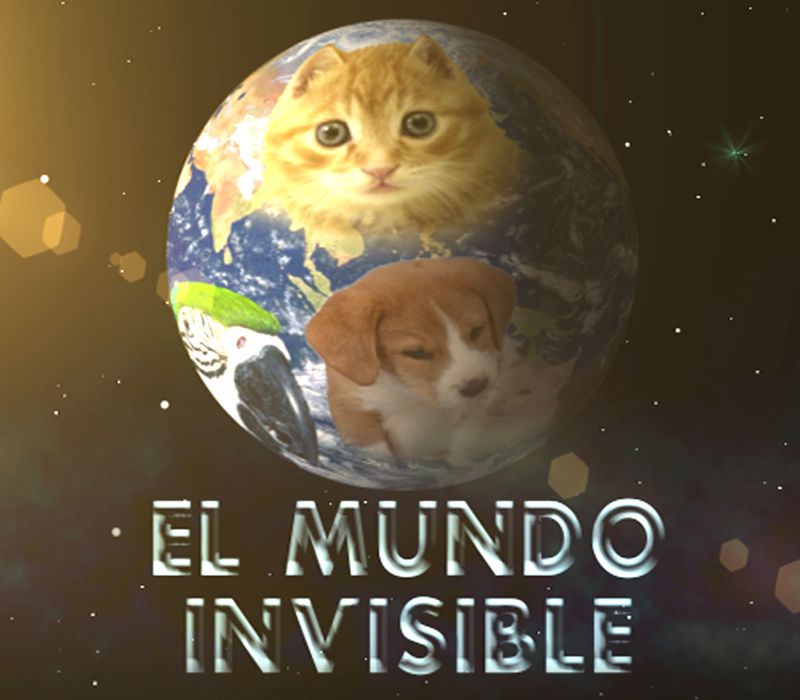 El Mundo Invisible: Una forma diferente de aprender sobre el mundo ...