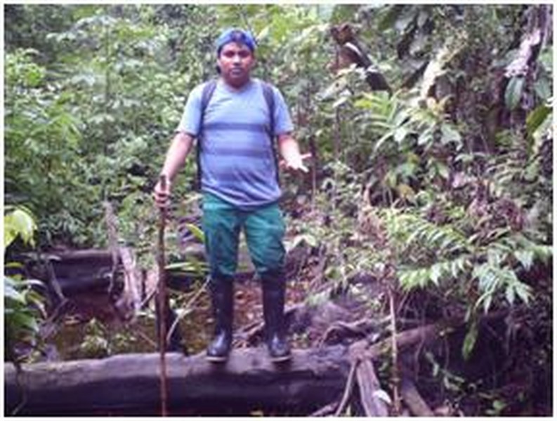 Estudiante de la UNAP investiga crianza de suris con fines de ...