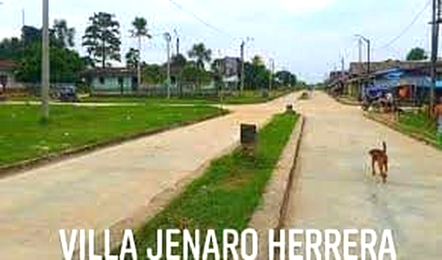 Villa Jenaro Herrera cumple 67 aniversario de fundación como distrito ...