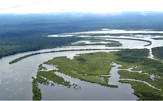 Agricultura de llanura Amazónica en Loreto - Diario de Noticias y ...